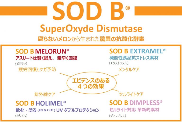 健食原料・OEM展2024、腐らないメロンから生まれた驚異の抗酸化酵素「SOD B」プレゼンテーションにて最新情報を提供／株式会社ロベルテ ...