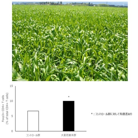 アルガルバイオ、JST A-STEPプログラムに採択。最大3.3億円の支援で、微細藻類由来の機能性原料の実用化を加速／株式会社アルガルバイオ ...